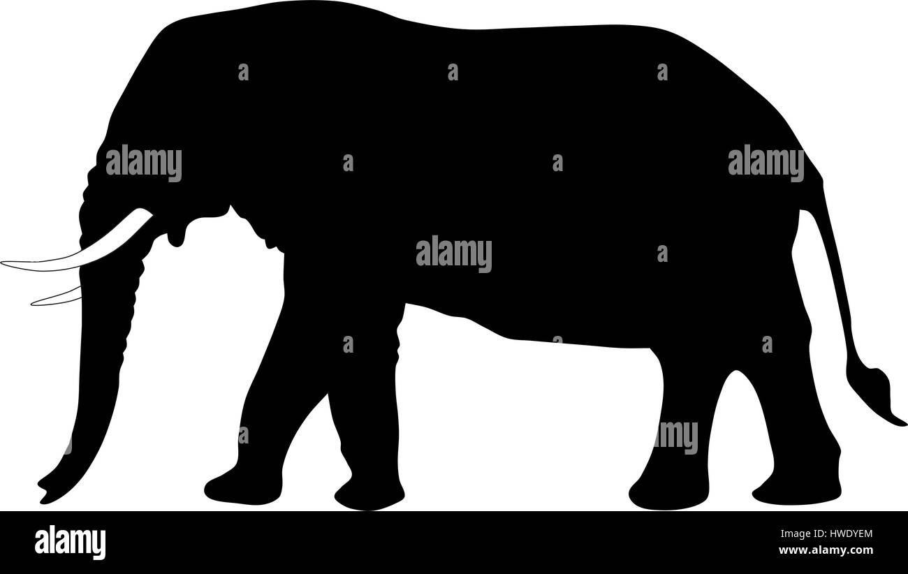 Abstract vector illustration of elephant Stock Vector Image & Art - Alamy