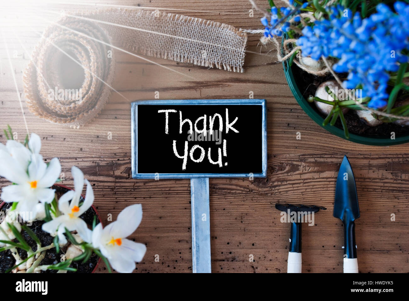 Sunny Spring Flowers, Sign, Text Thank You Stock Photo - Alamy