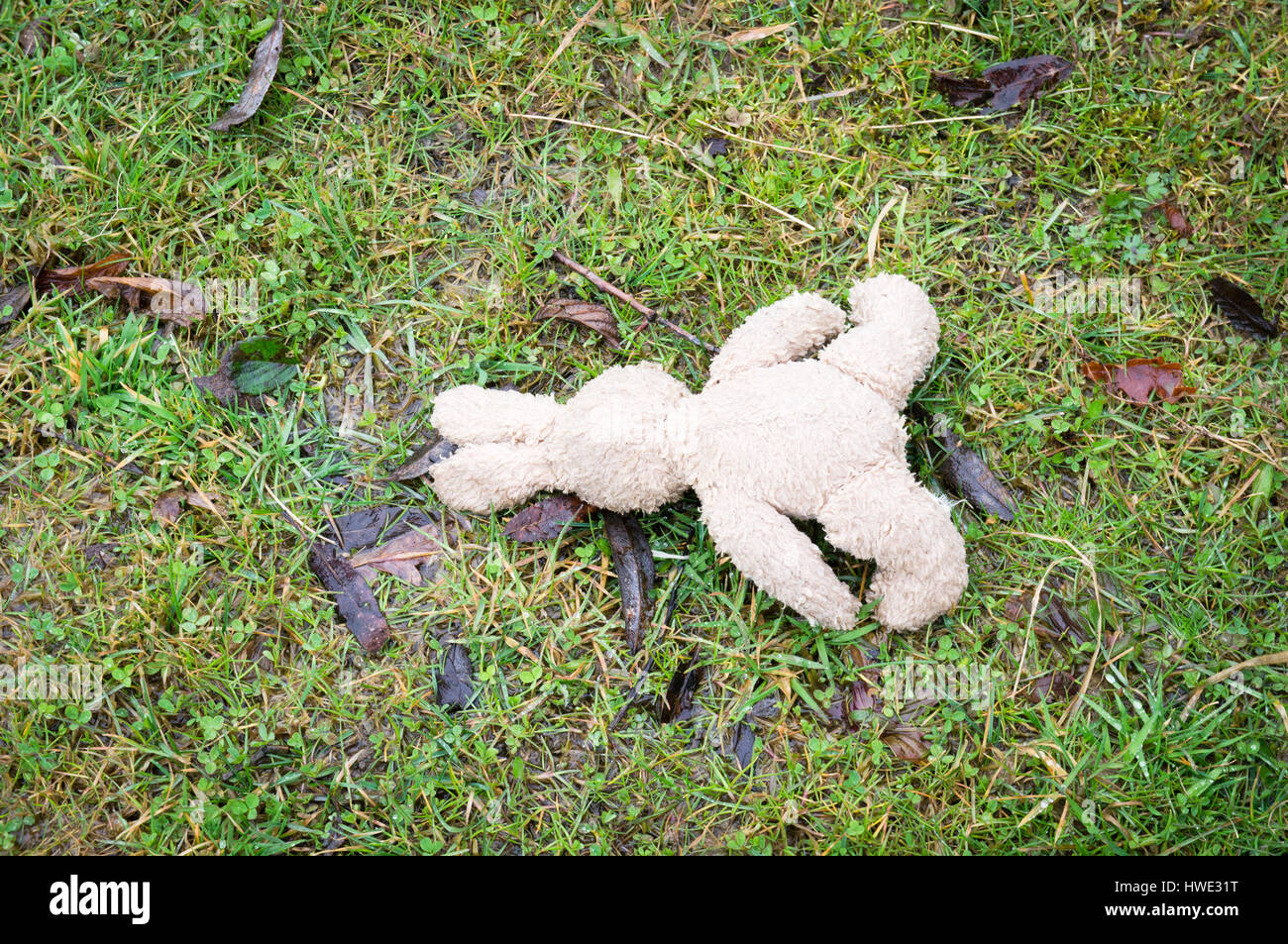 forgotten, abandoned, wet cuddly toy, hare, rabbit, mud, green, puddle ...