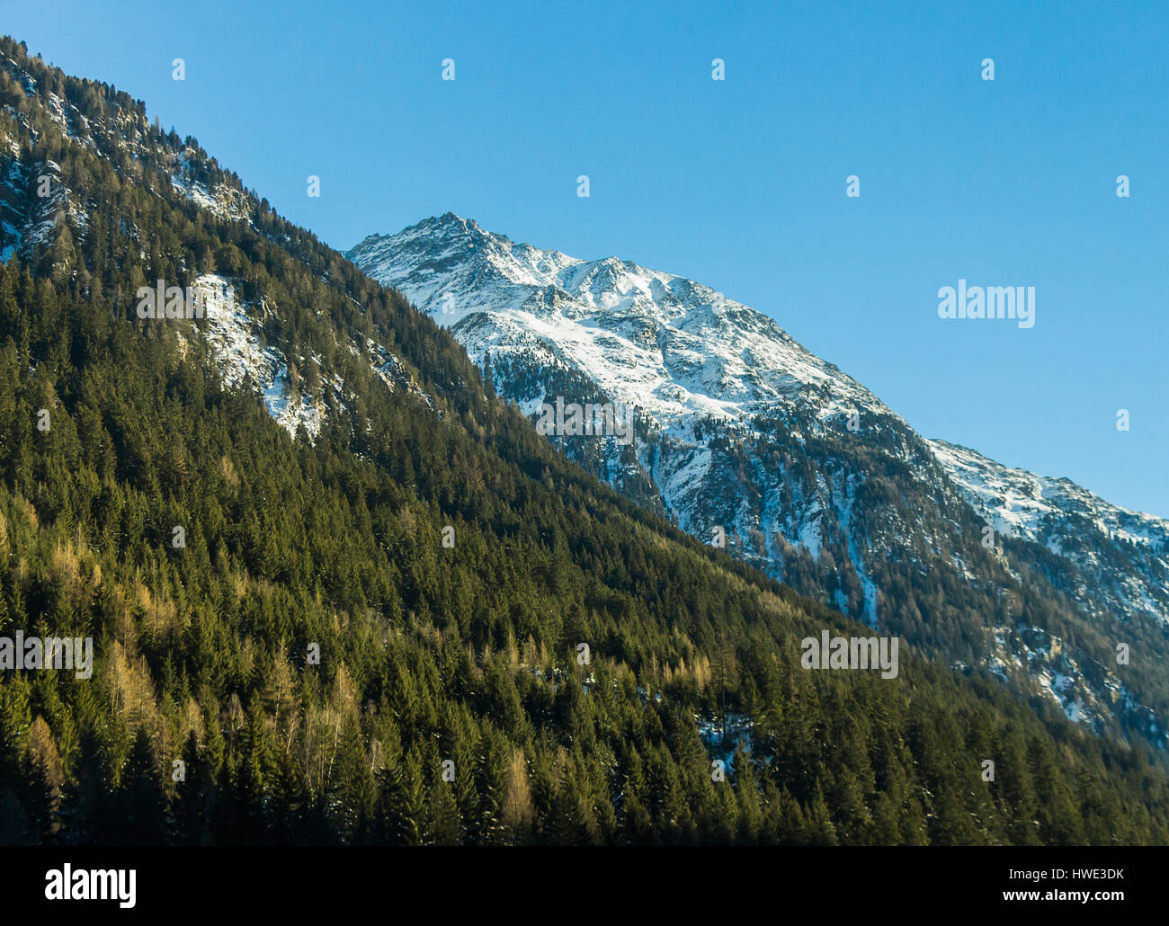 Mountain landscape evergreen trees hi-res stock photography and images ...