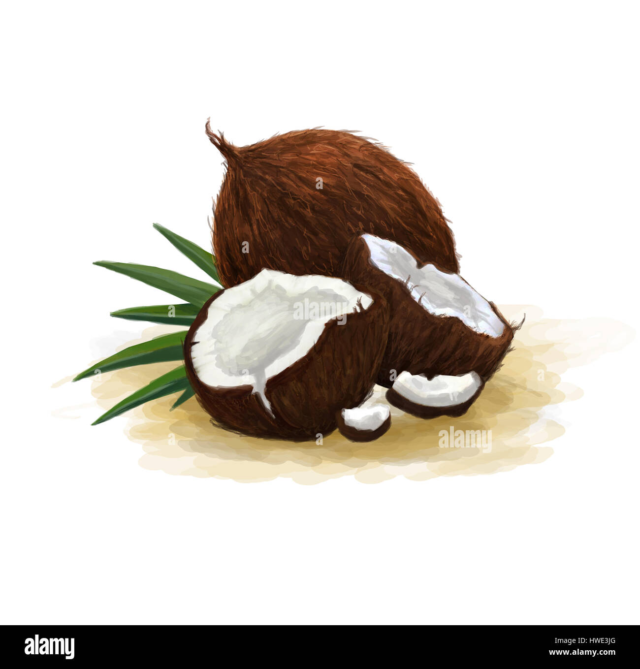 Broken Coconut Painting