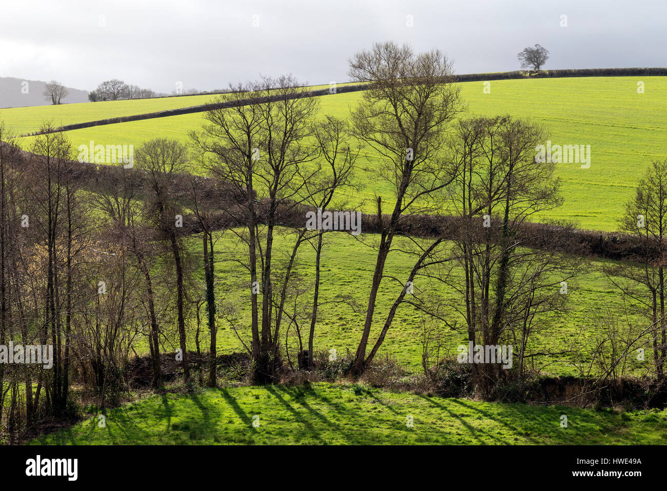 Devon, Farm, Dartmoor, UK, England, Farmhouse, Green Color, House ...