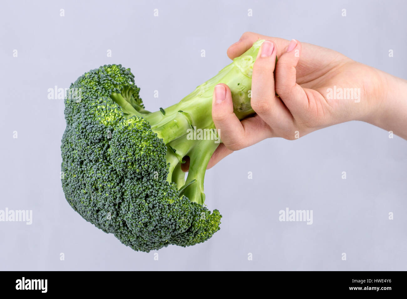 A hand holding a broccoli Stock Photo - Alamy