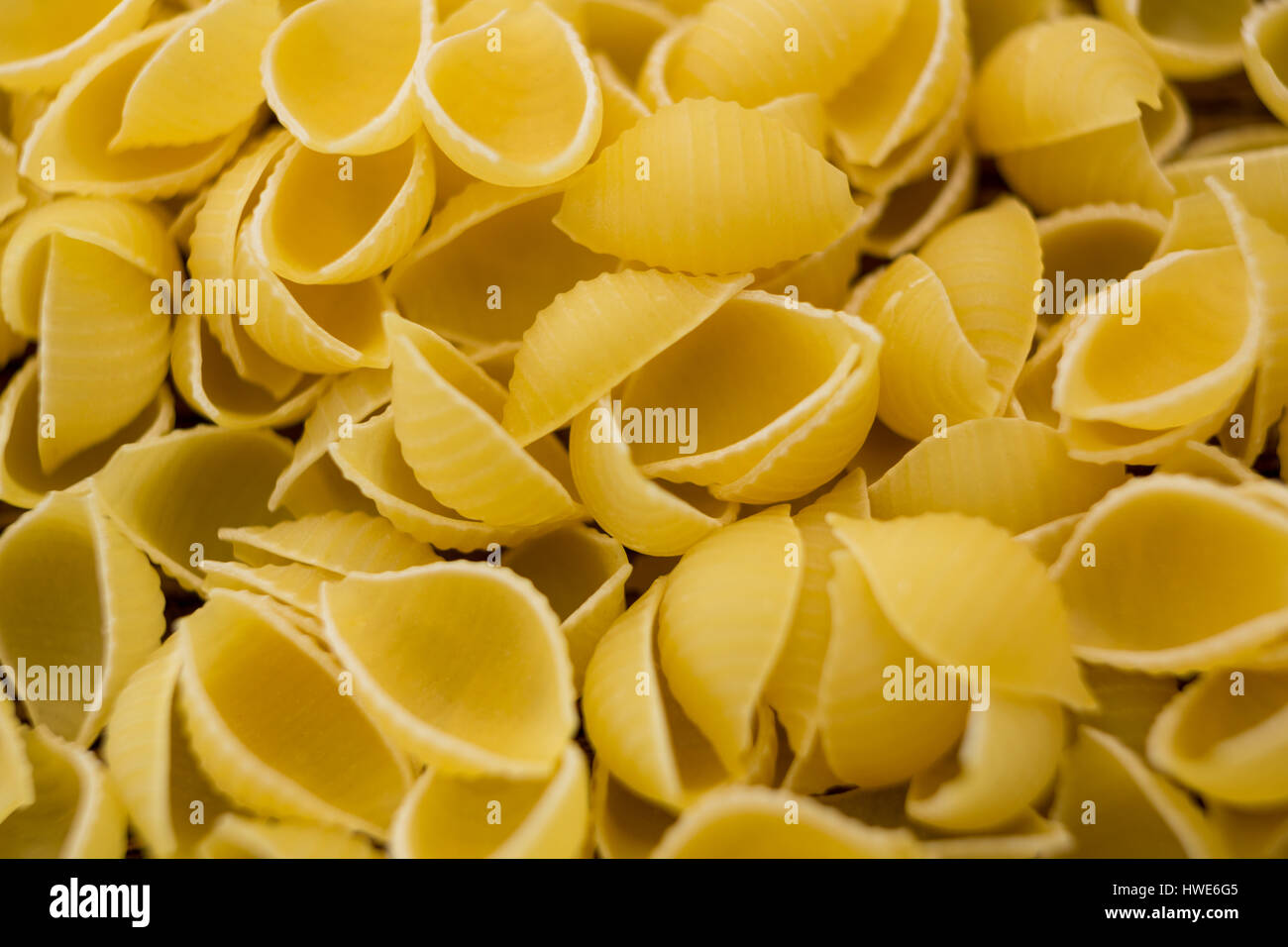 Close up conchiglie pasta hi-res stock photography and images - Alamy
