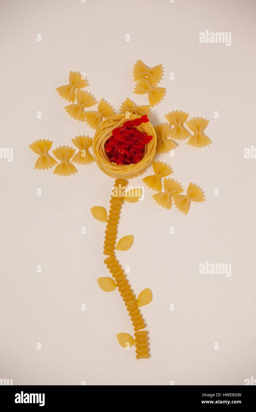 Varieties of pasta making a flower on white background Stock Photo - Alamy
