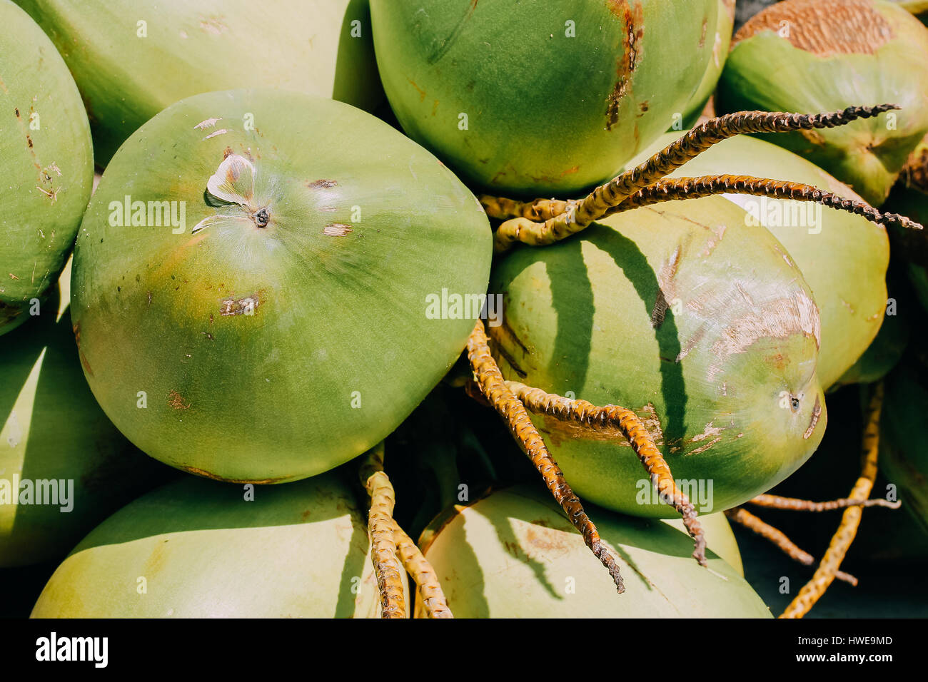 Green coconuts hi-res stock photography and images - Alamy