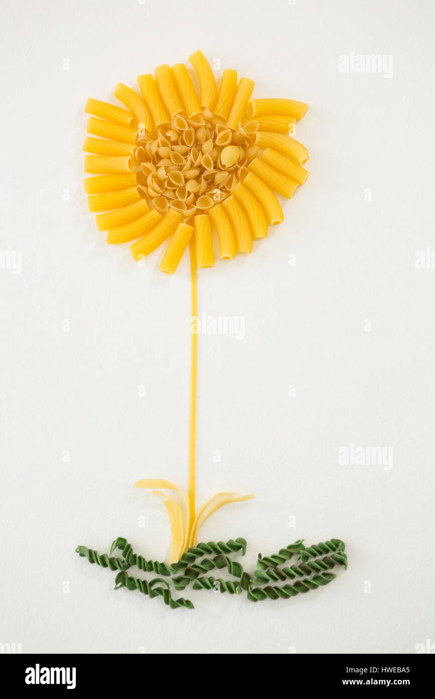 Varieties of pasta forming flower on white background Stock Photo - Alamy