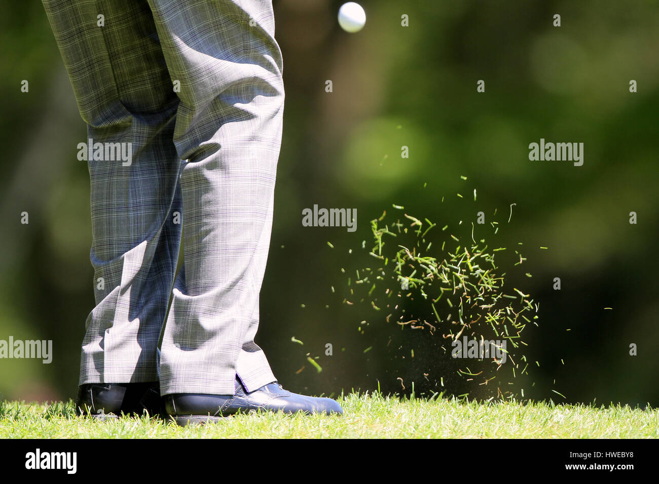 Pga grass hi-res stock photography and images - Alamy