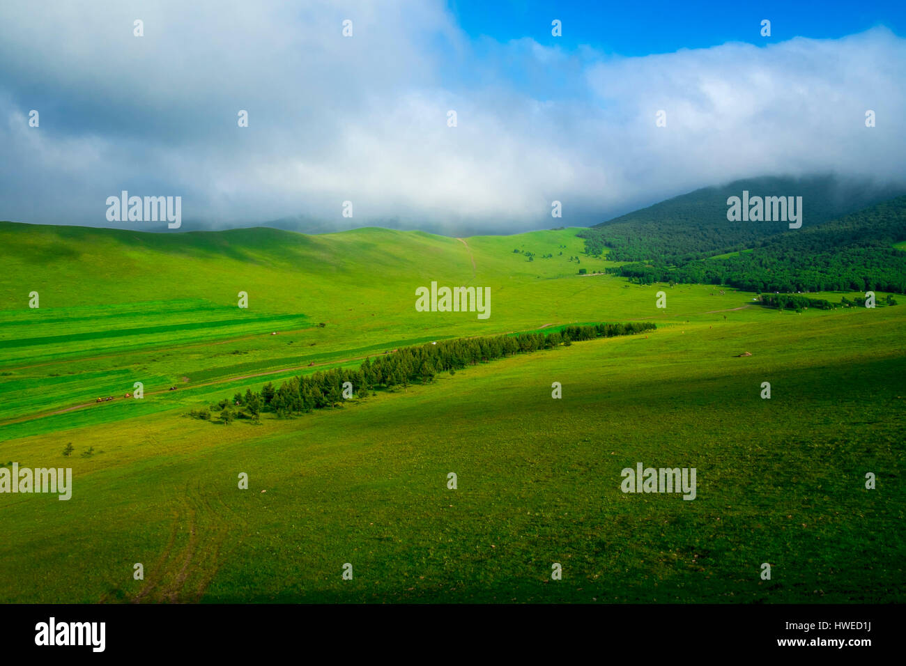 Bashang plateau hi-res stock photography and images - Alamy