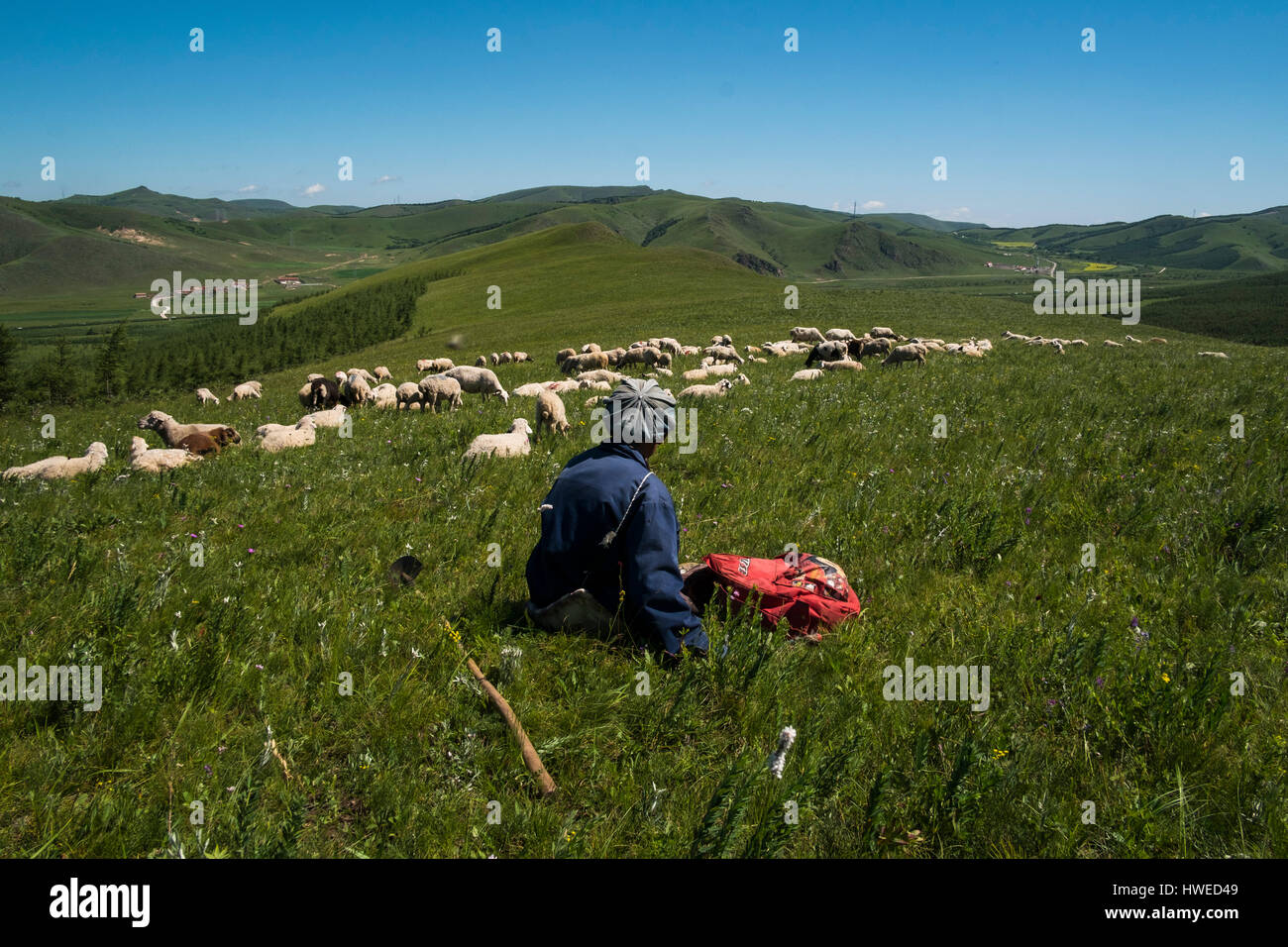 The shepherd of the grasslands bashang hebei china Stock Photo - Alamy