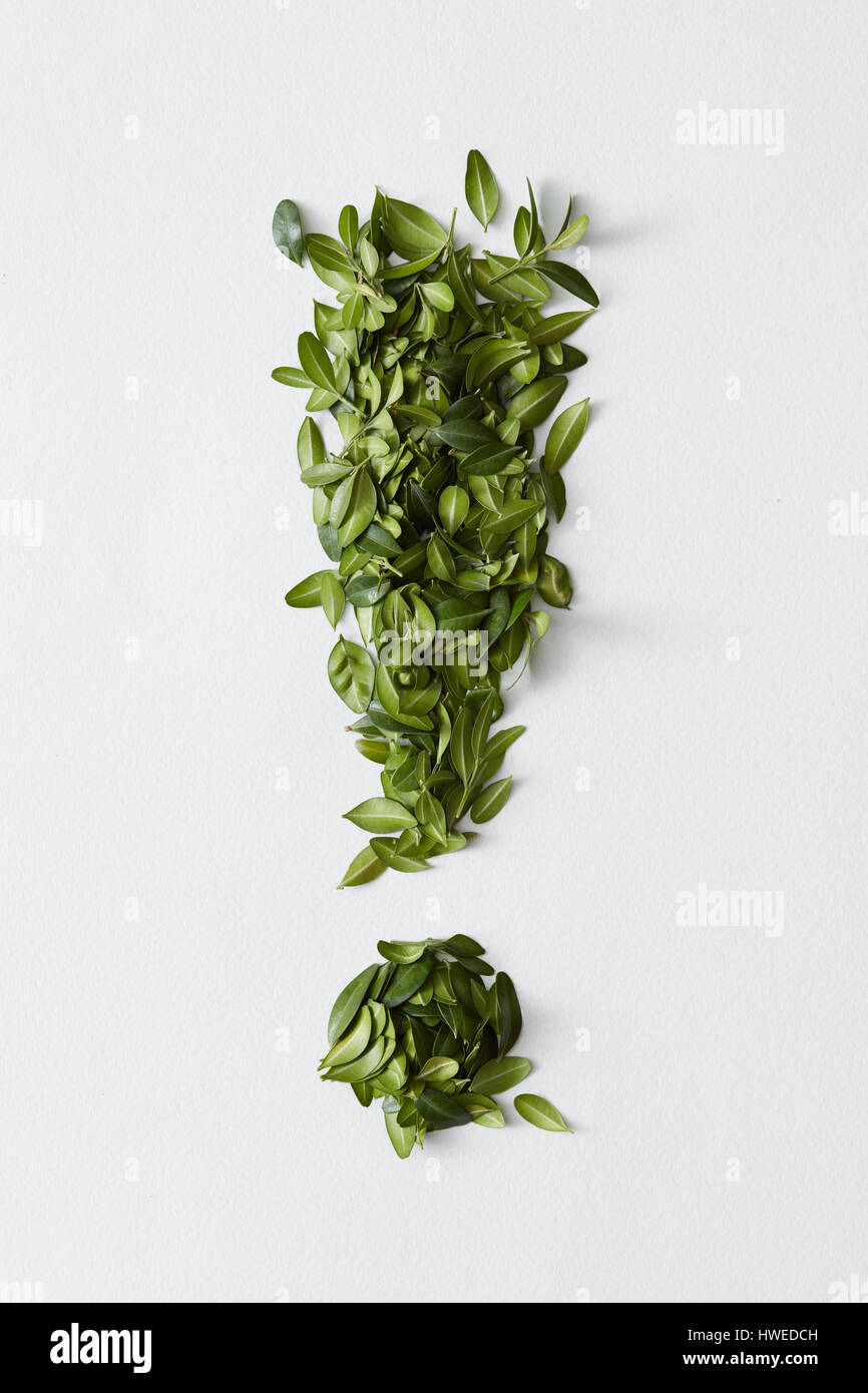 Exclamation mark from green leaves Stock Photo - Alamy