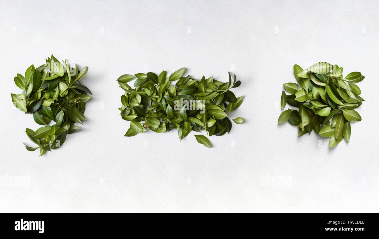 Punctuation marks from green leaves Stock Photo - Alamy