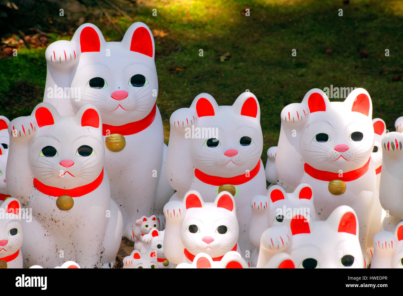 The Maneki Neko at Gotokuji Temple Tokyo Japan Stock Photo - Alamy