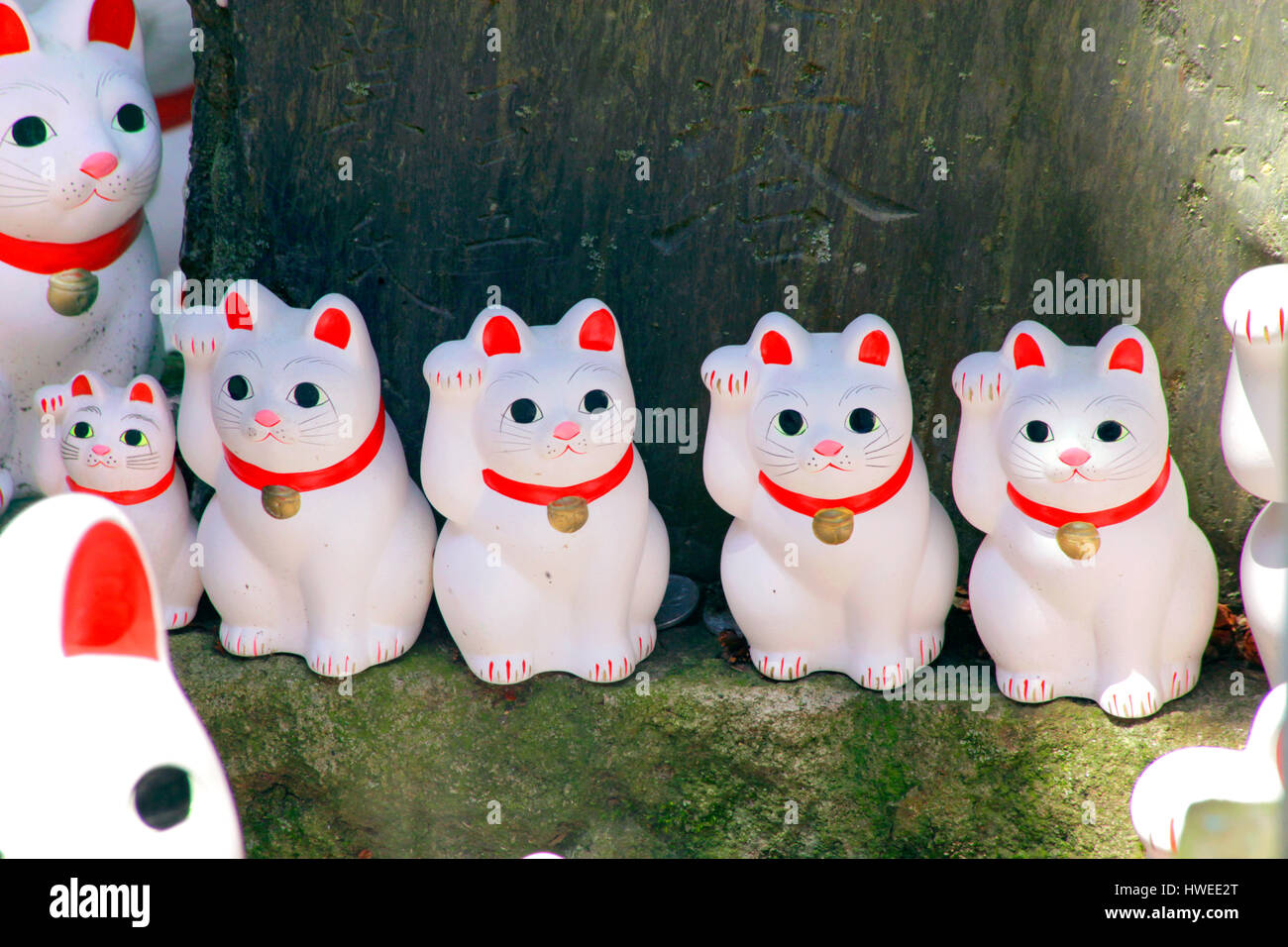 The Maneki Neko at Gotokuji Temple Tokyo Japan Stock Photo - Alamy