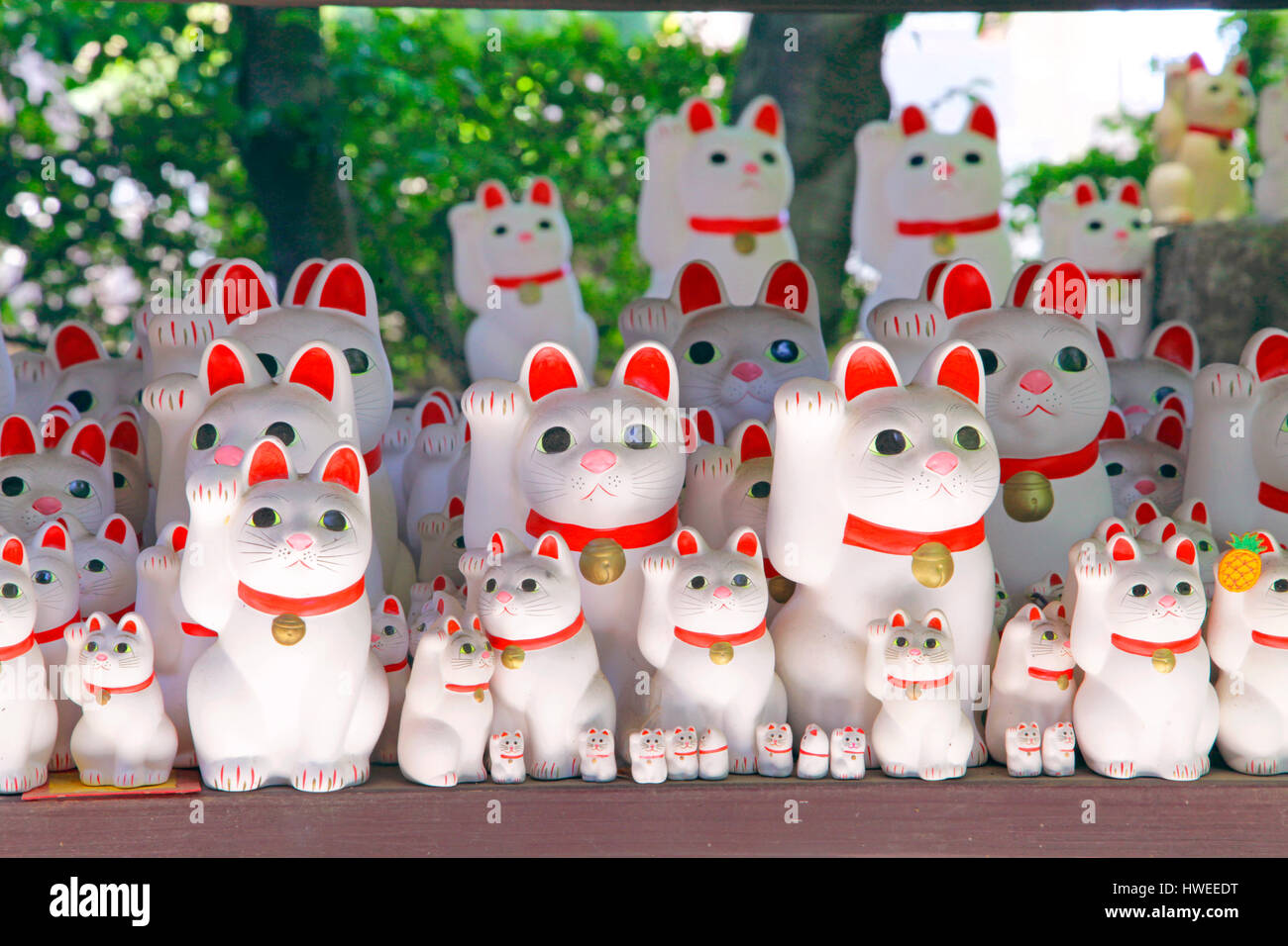 The Maneki Neko at Gotokuji Temple Tokyo Japan Stock Photo - Alamy