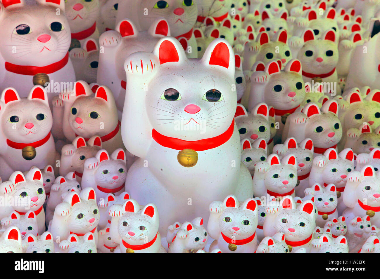 The Maneki Neko at Gotokuji Temple Tokyo Japan Stock Photo - Alamy