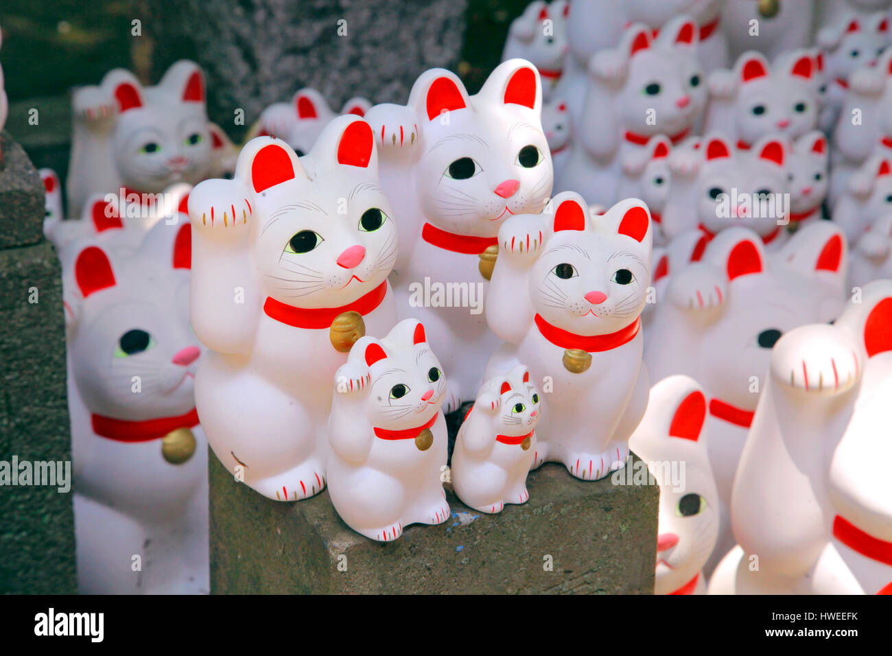 The Maneki Neko at Gotokuji Temple Tokyo Japan Stock Photo - Alamy