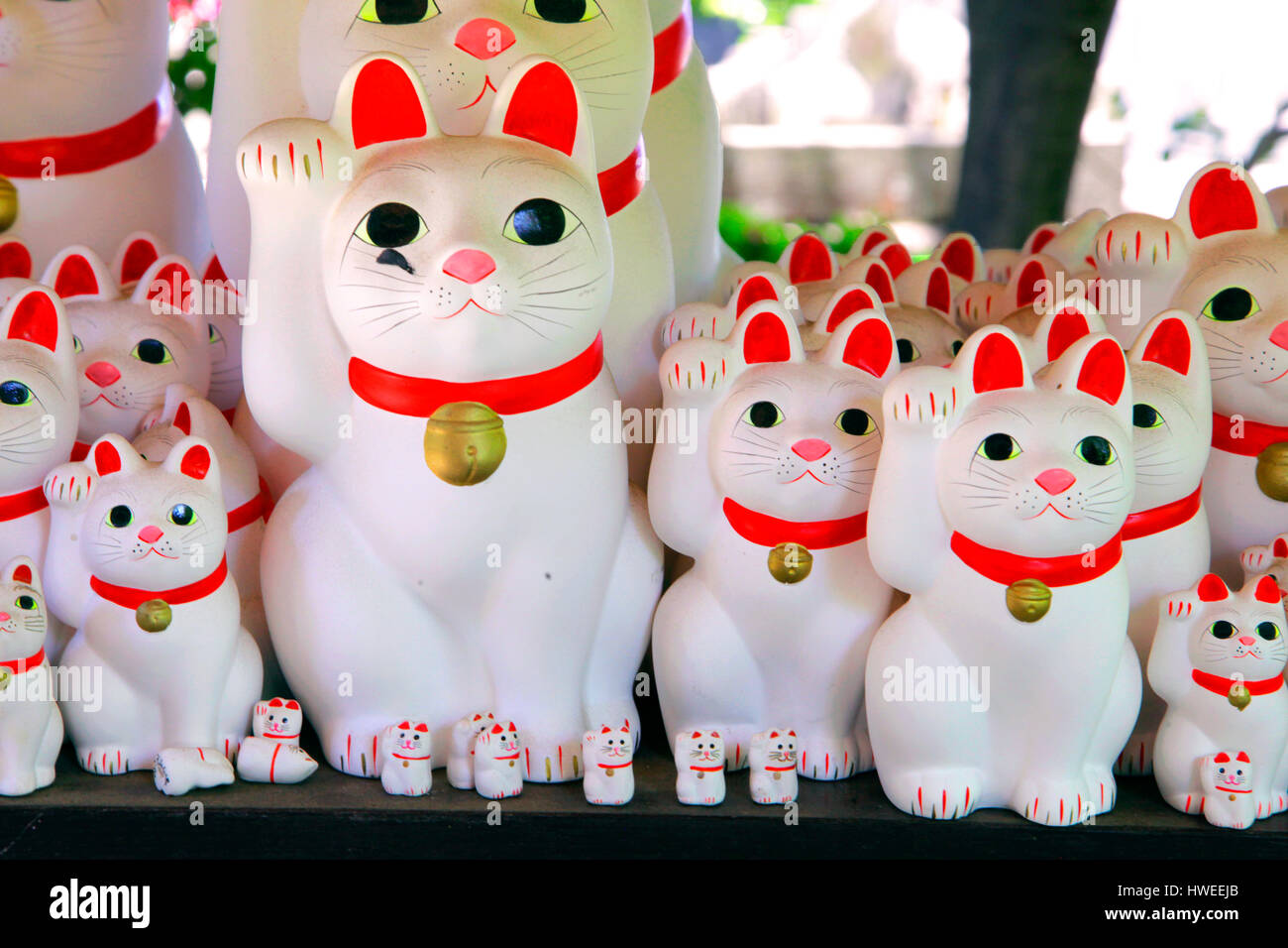 The Maneki Neko at Gotokuji Temple Tokyo Japan Stock Photo - Alamy