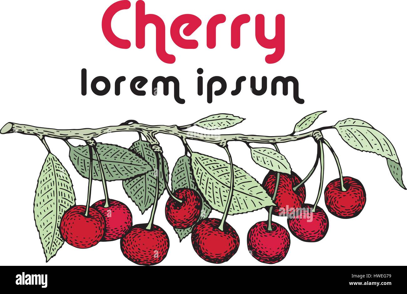 vector cherry greeting card template. Can be use for background, design ...