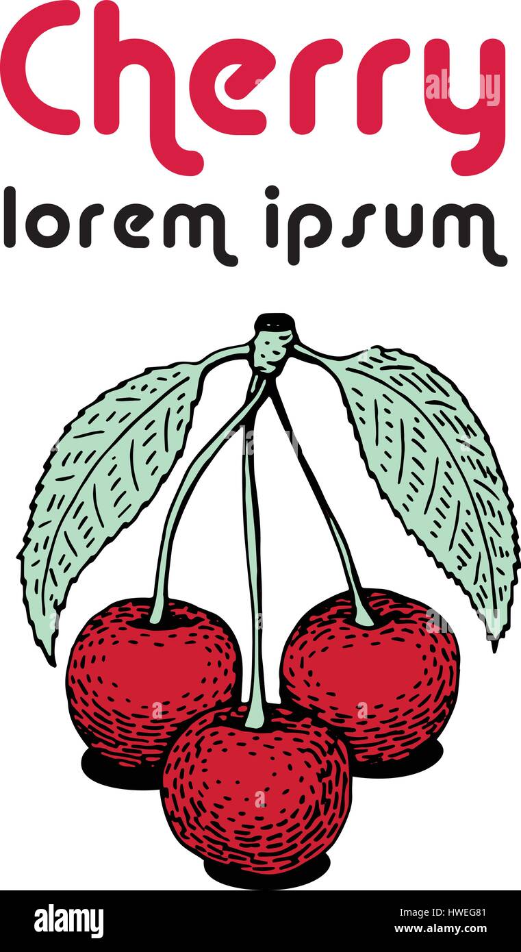 vector cherry logo template. Can be use for background, design ...