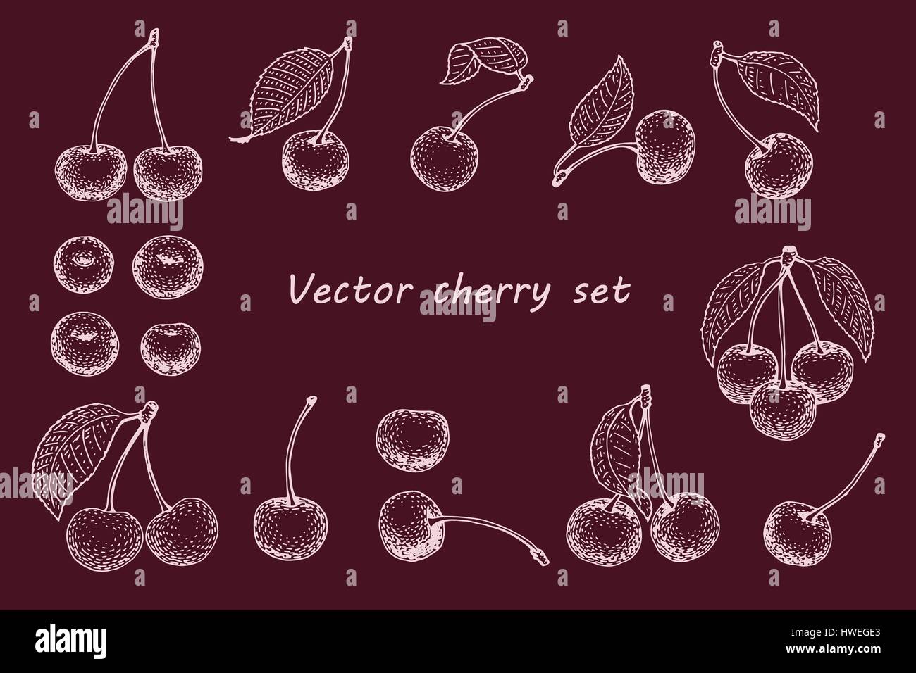 vector cherry logo template. Can be use for background, design ...