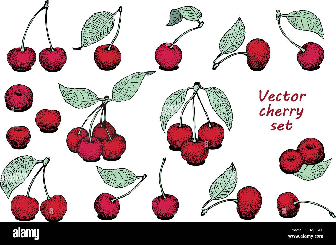 vector cherry logo template. Can be use for background, design ...