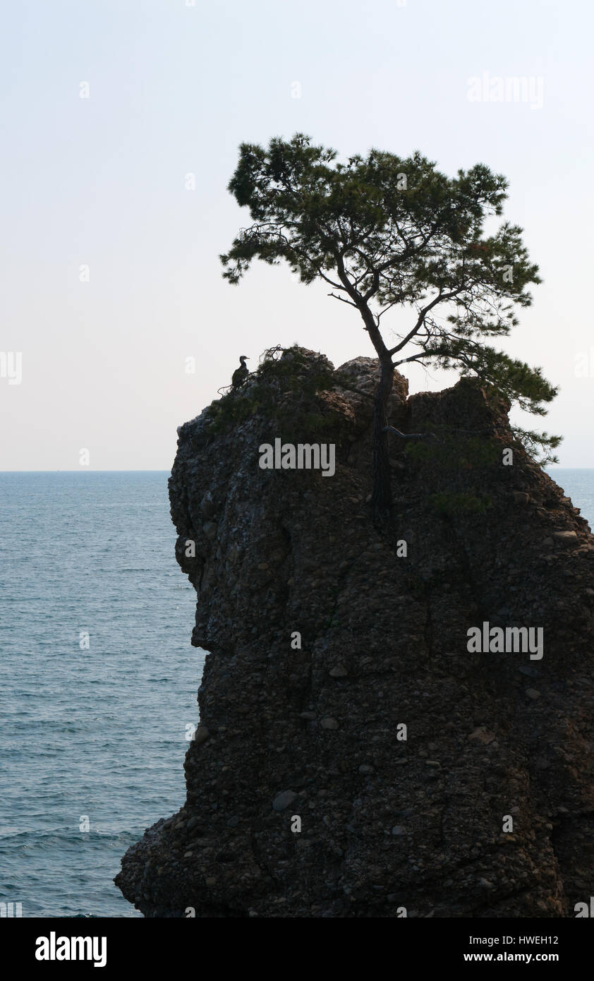 The Rock of Cadrega, the Rock of Chair, a famous rock with a maritime ...