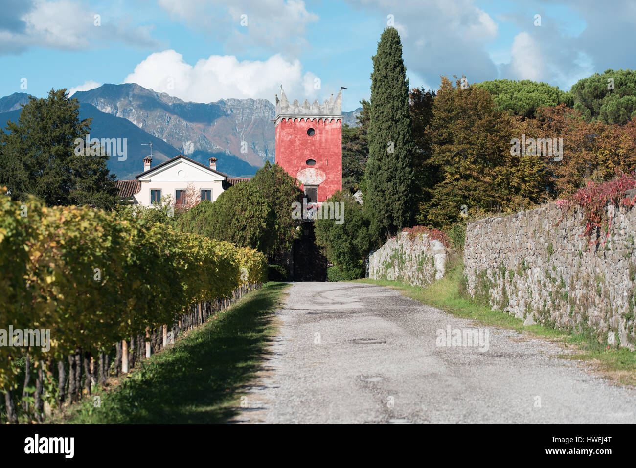 Autumn colors in the ancient village. Between towers and vineyards ...