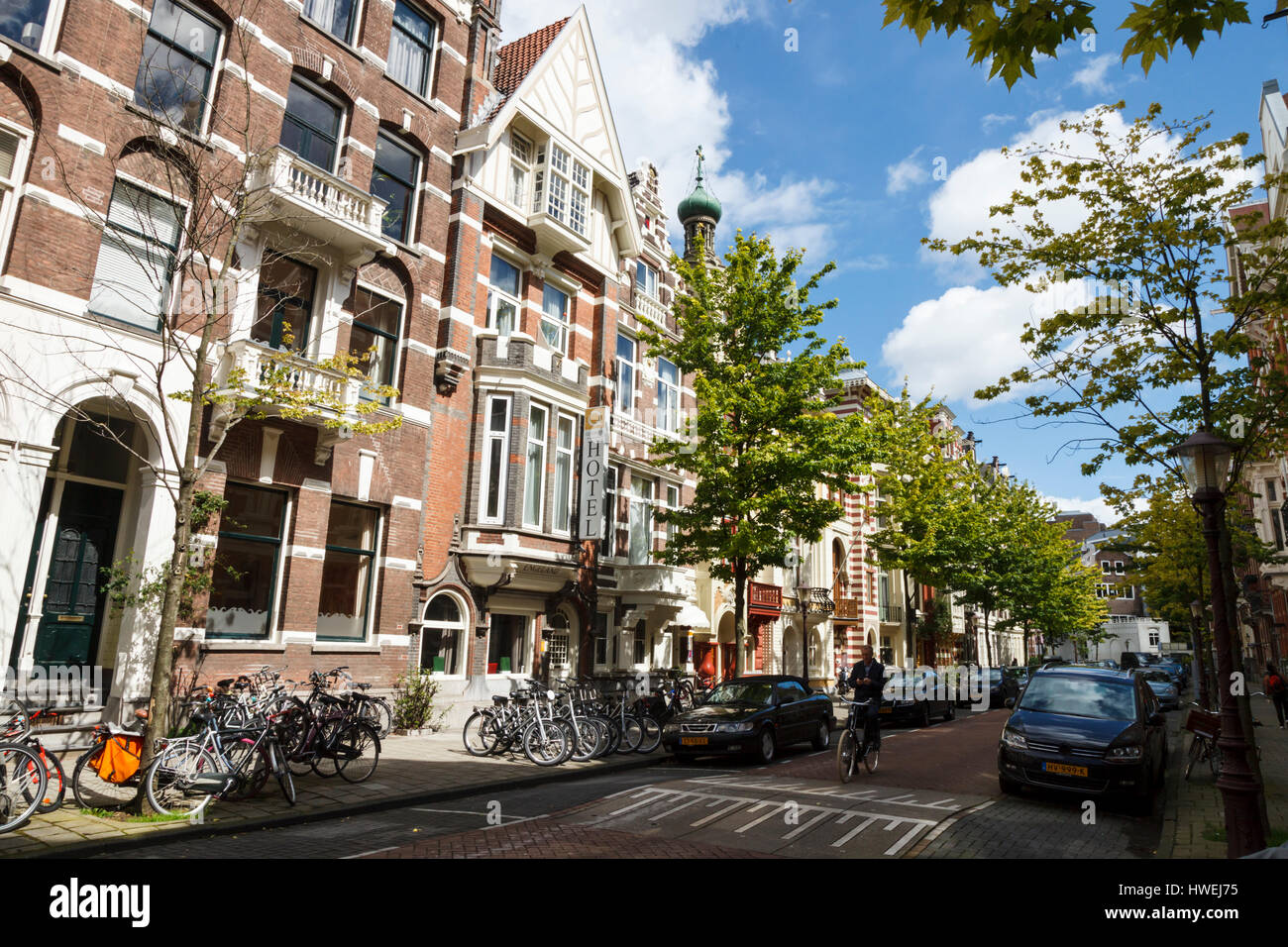 Avenue trees in netherlands hi-res stock photography and images - Alamy