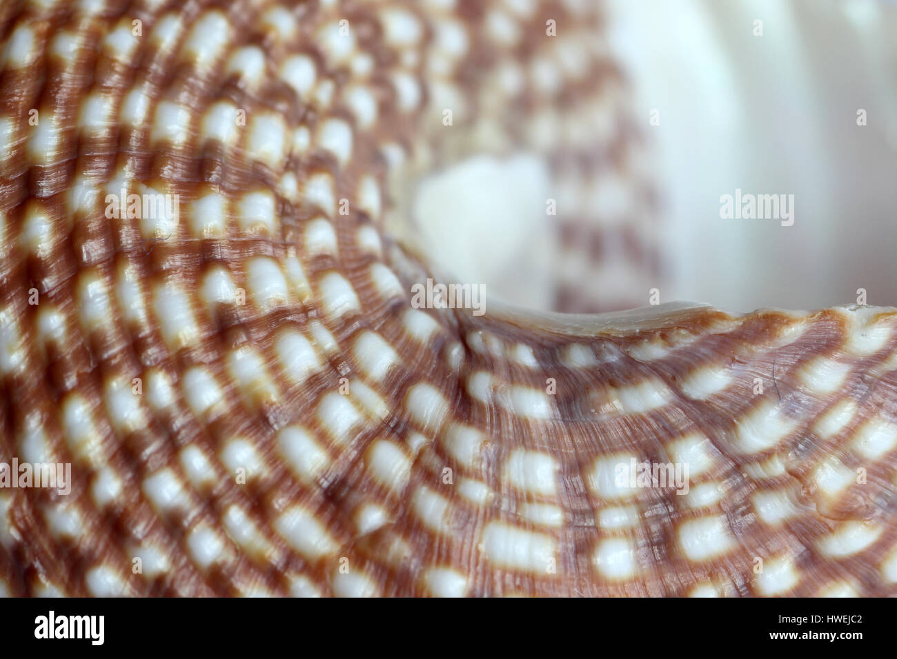Abstract asymmetrical pattern hi-res stock photography and images - Alamy