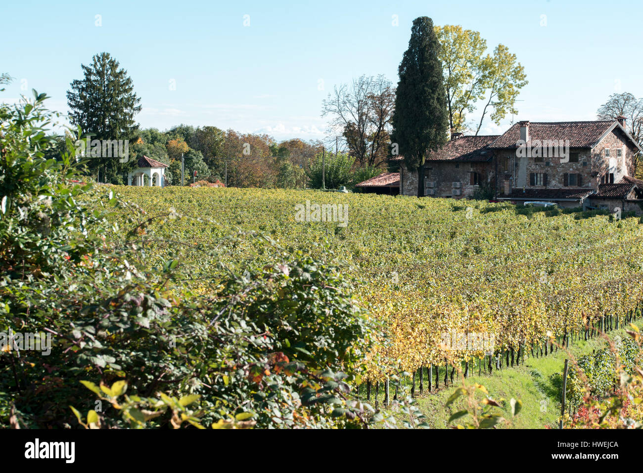 Autumn colors in the ancient village. Between towers and vineyards ...