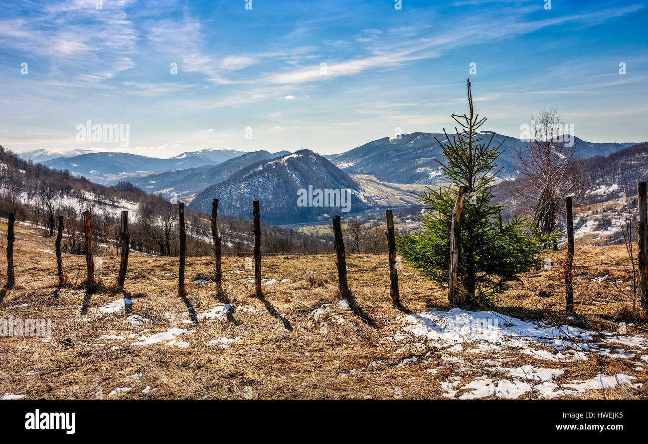 spring has sprung in rural area. wooden fence on agricultural field ...