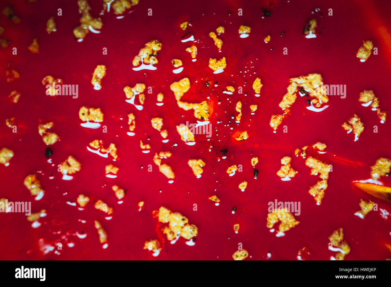 hat red with white spots mushroom closeup Stock Photo - Alamy