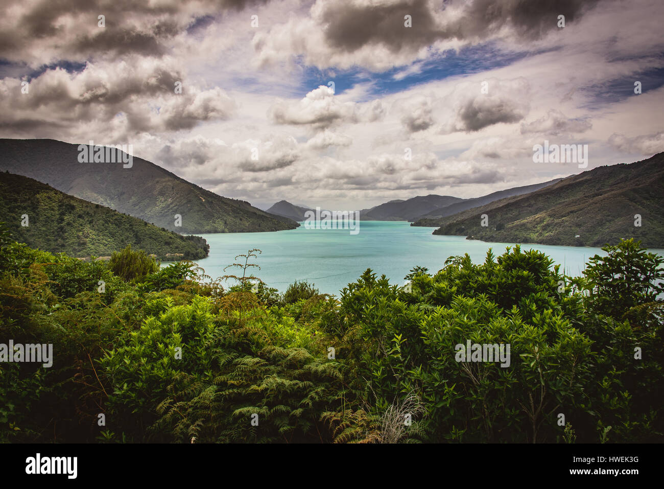 Greenery view hi-res stock photography and images - Alamy