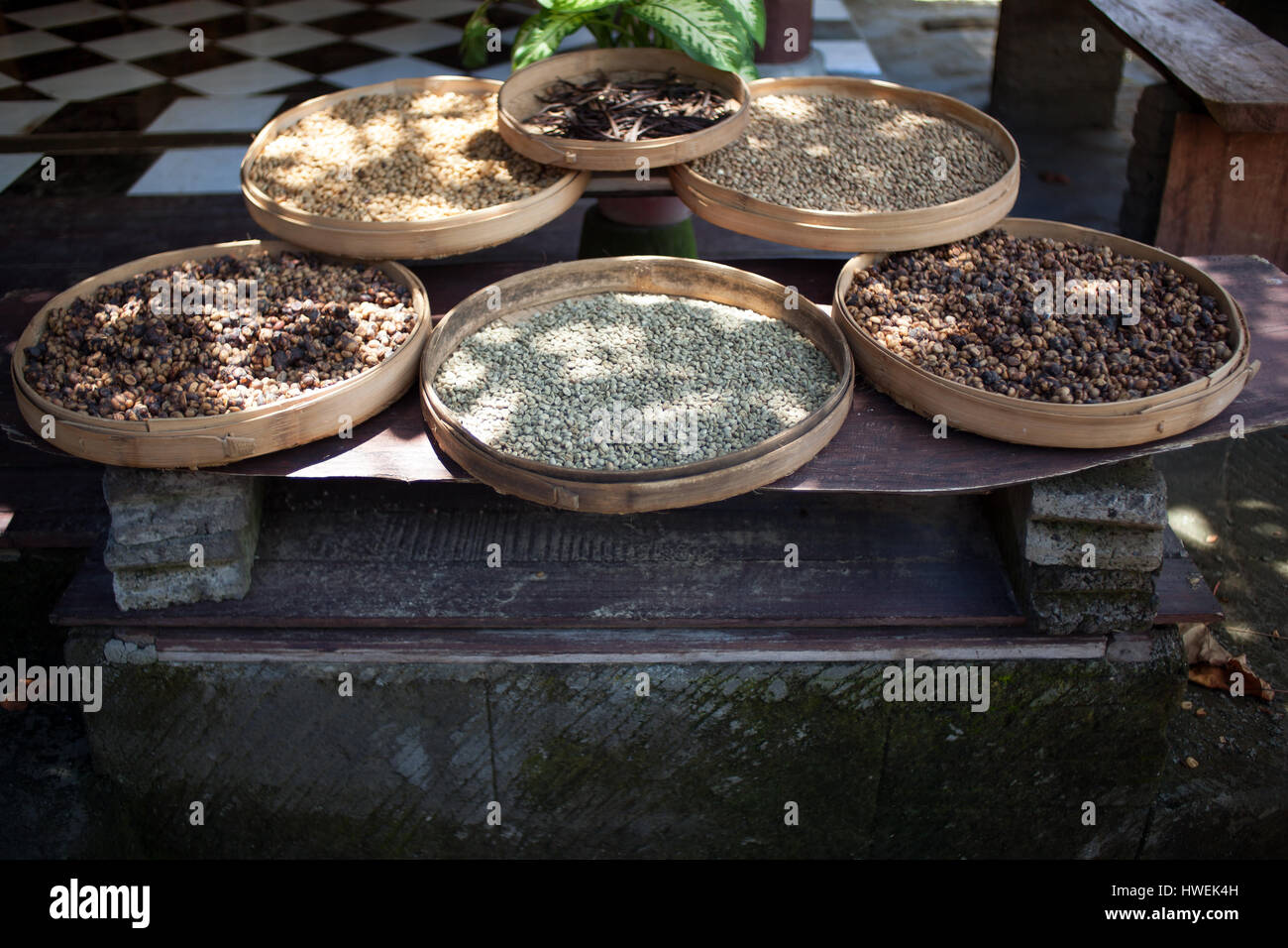 Indonesia java coffee plantation hi-res stock photography and images ...