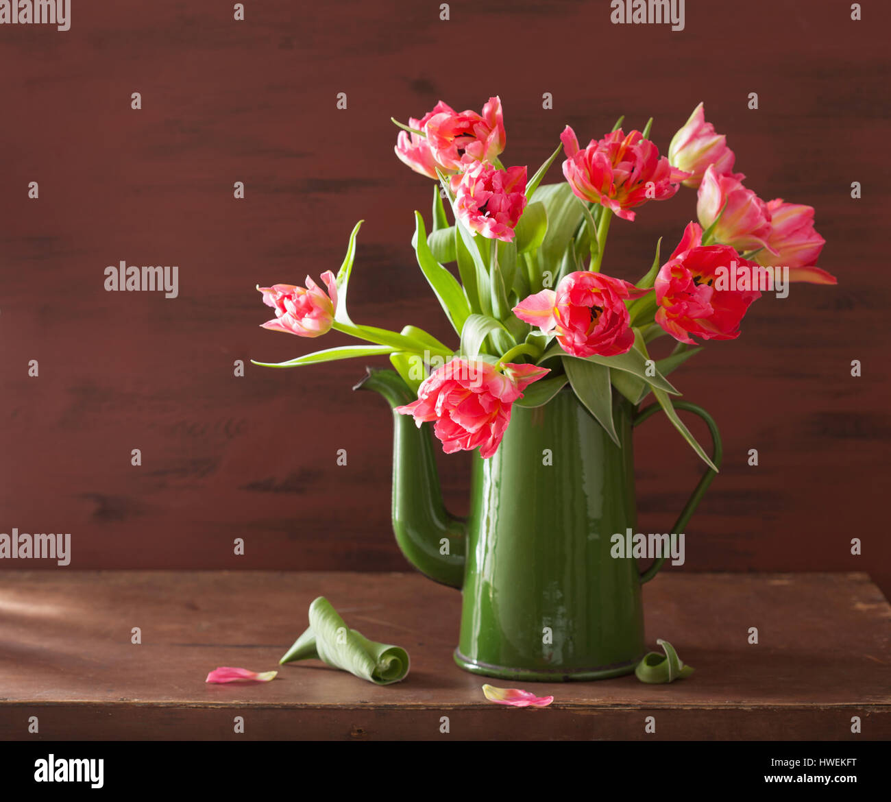 tulip flowers in watering cane Stock Photo - Alamy