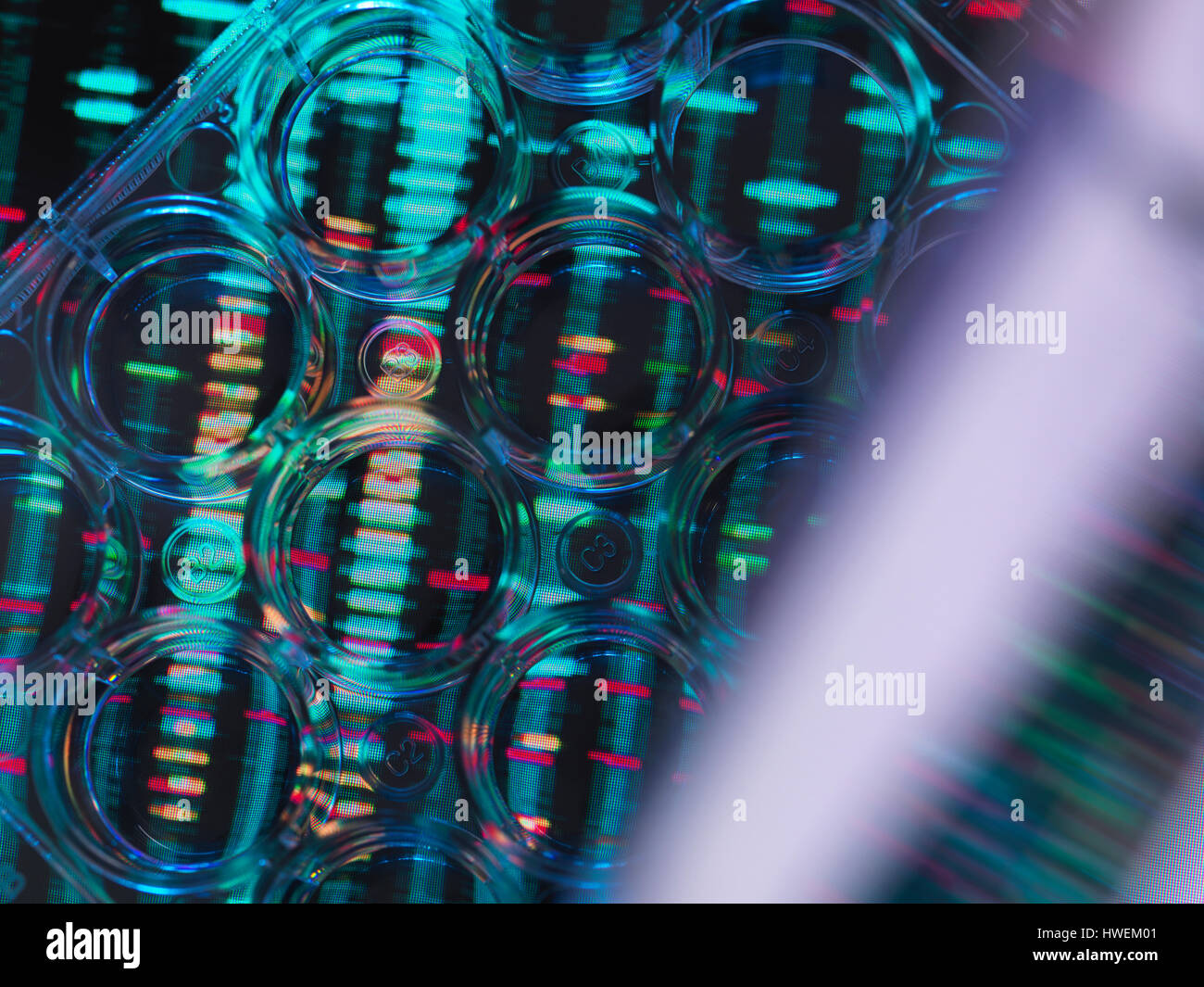 Genetic Research, A human sample in a multi well plate ready for ...