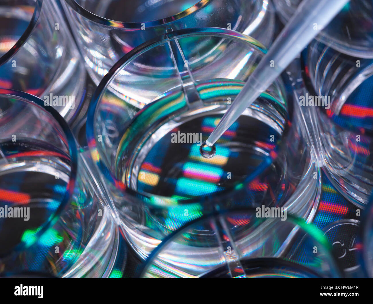 Human dna hi-res stock photography and images - Alamy