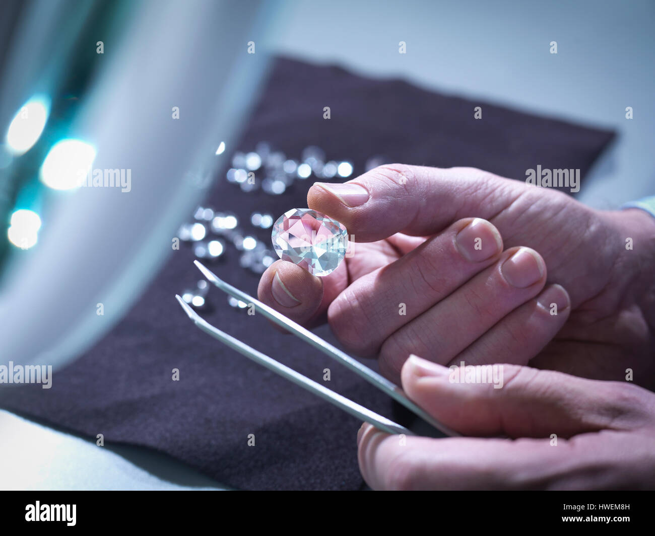 Hand anatomy hi-res stock photography and images - Alamy