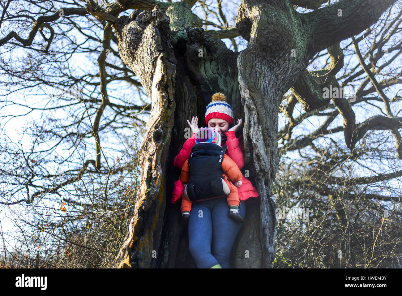 Woman in hollow tree, carrying young baby in sling Stock Photo - Alamy