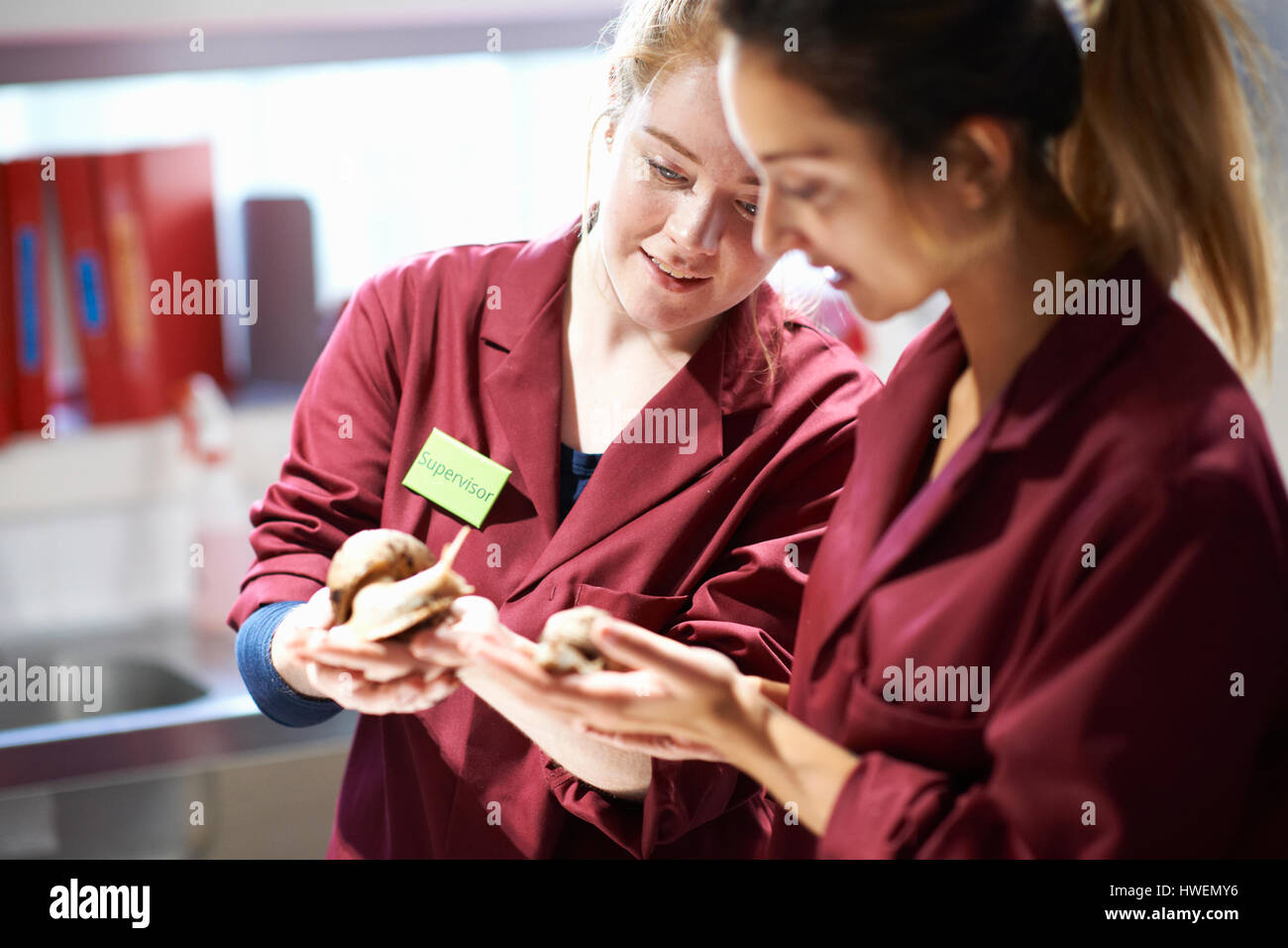 Female college students handling giant african land snails in lab Stock ...
