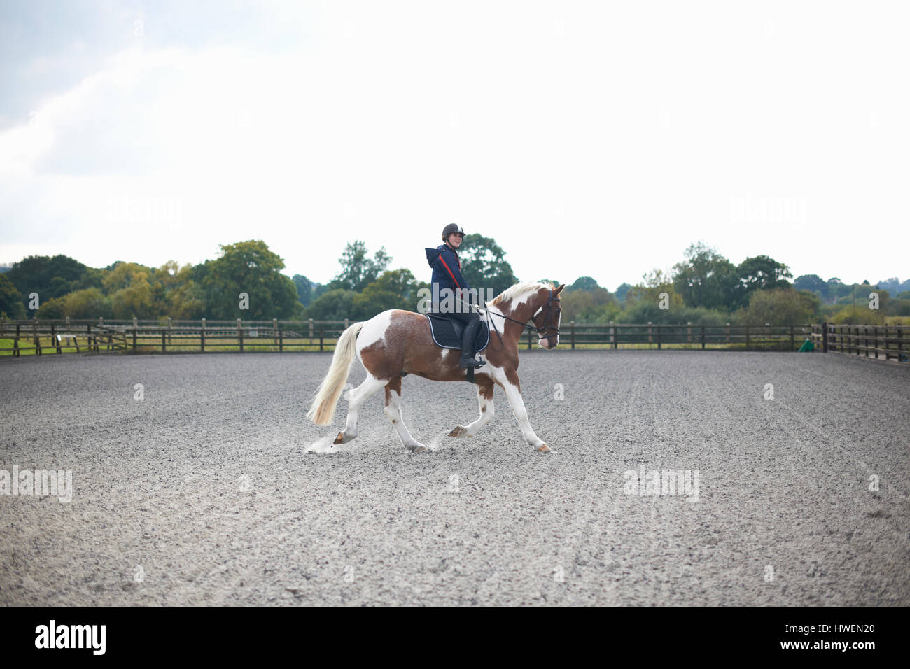 Young woman riding horse around paddock Stock Photo - Alamy