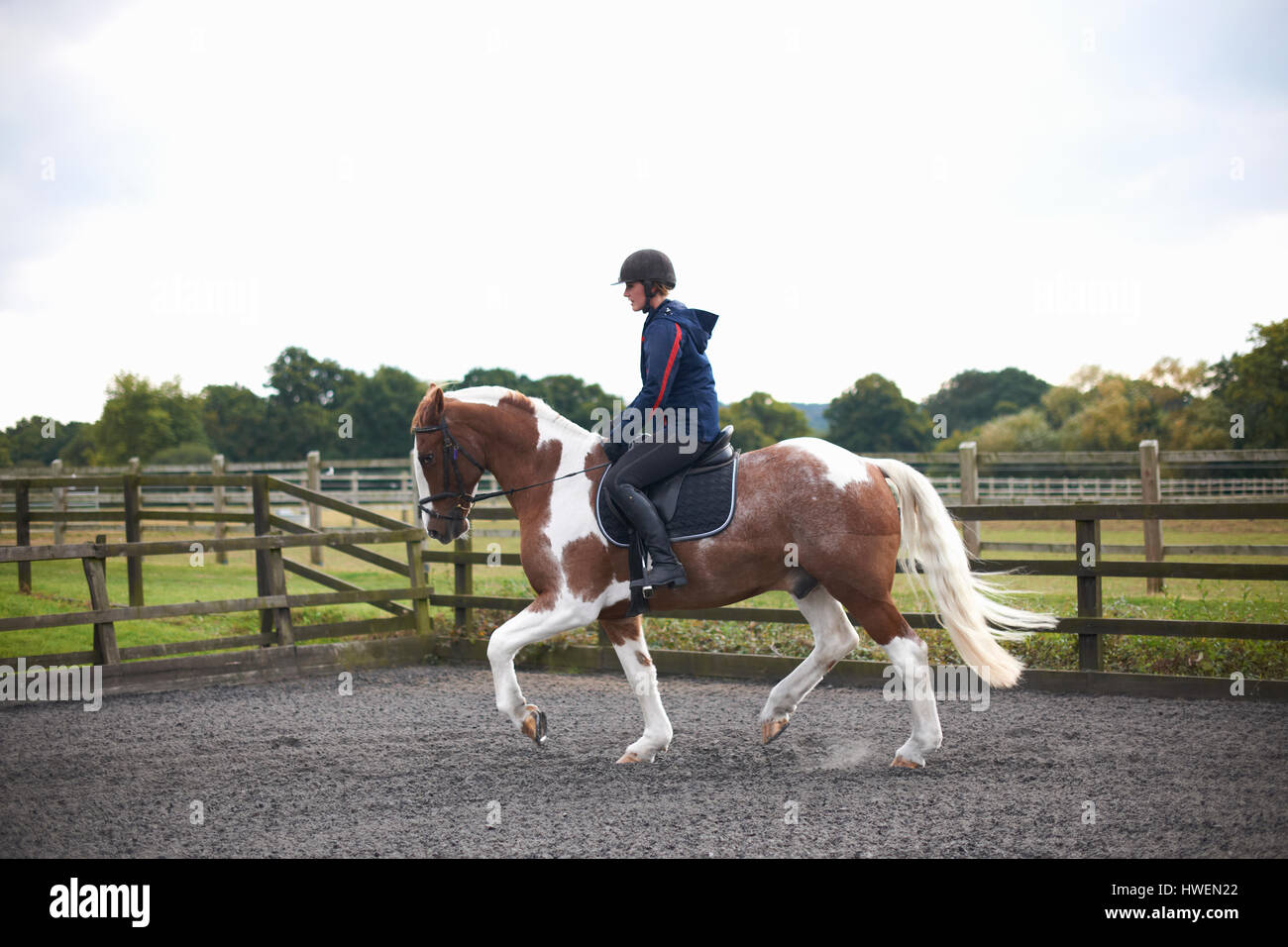 Young woman riding horse around paddock Stock Photo - Alamy