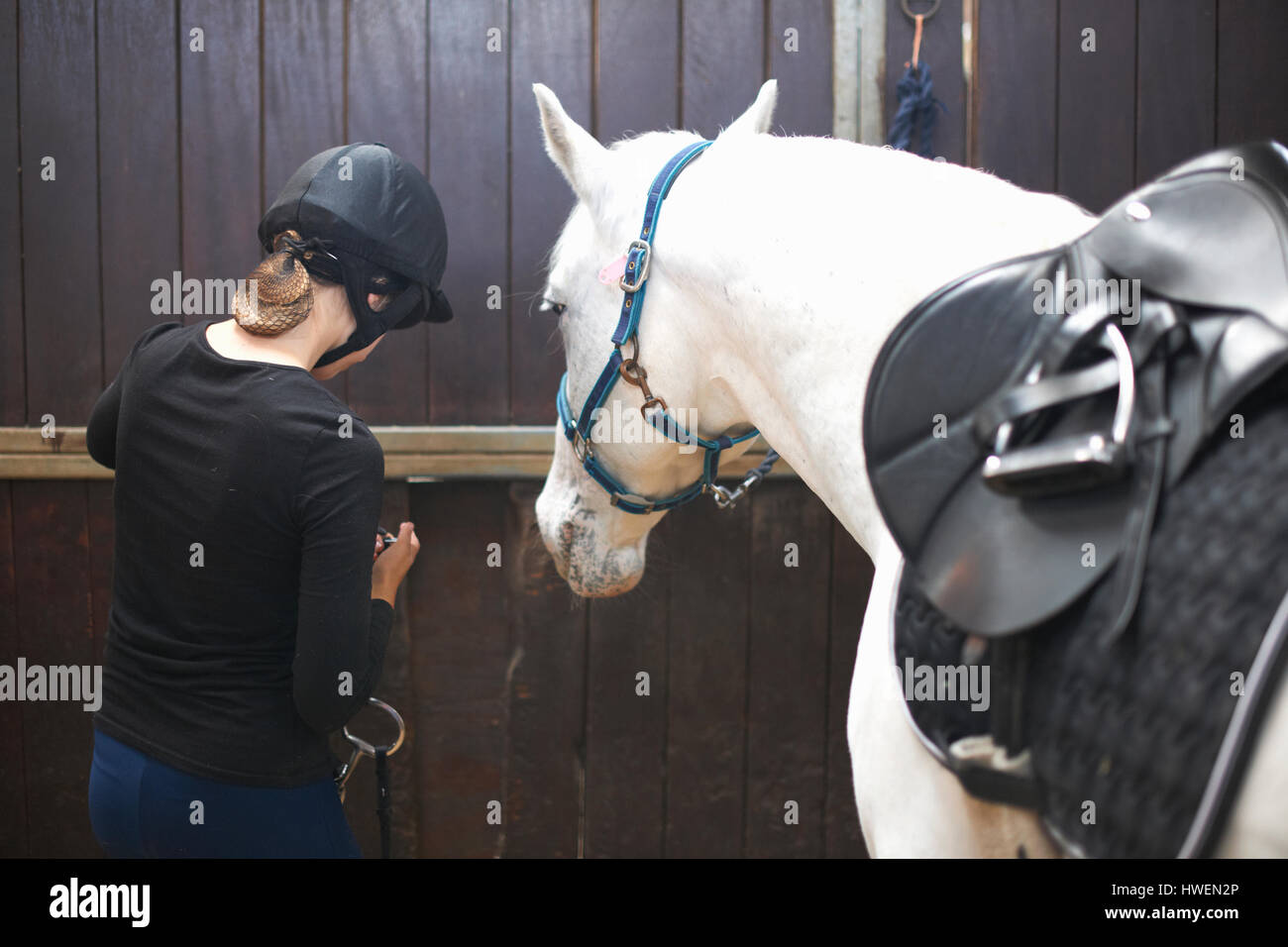 Young woman standing with horse in stable, rear view Stock Photo - Alamy