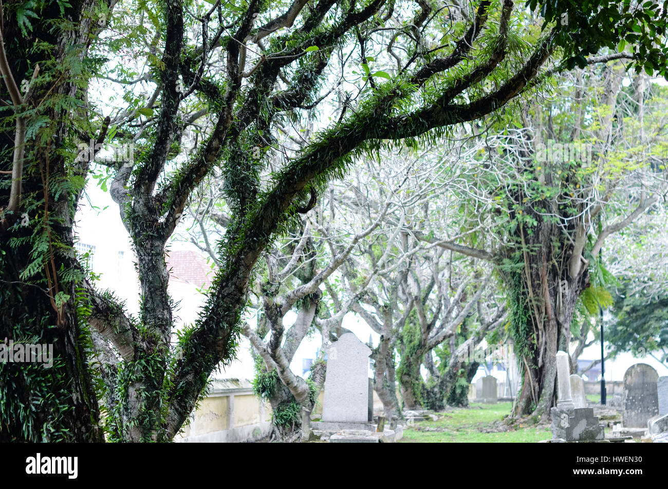 Forest lawn cemetery hi-res stock photography and images - Alamy