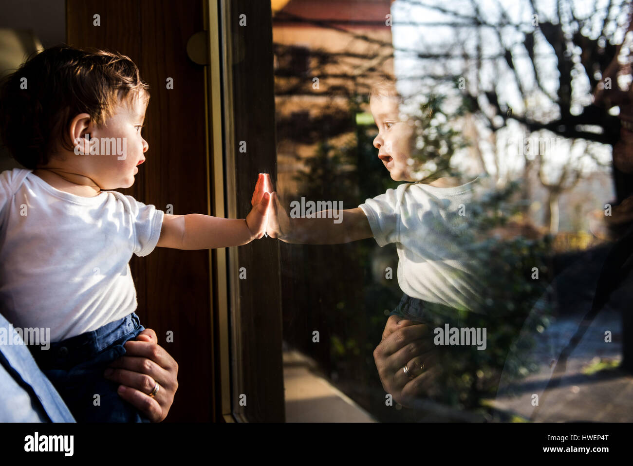 Baby boy in father's arms looking through and touching window Stock ...