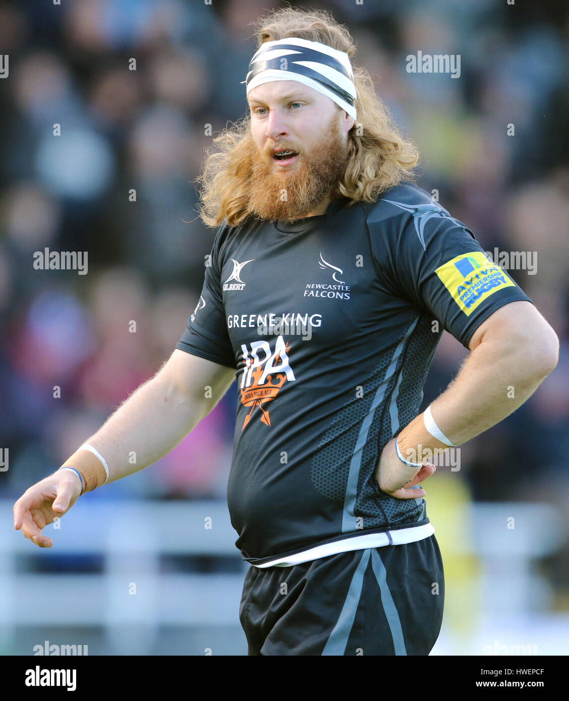 Evan olmstead hi-res stock photography and images - Alamy