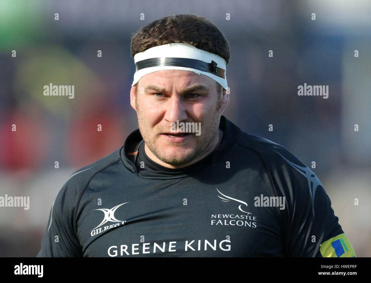 Rob Vickers, Newcastle Falcons Stock Photo - Alamy