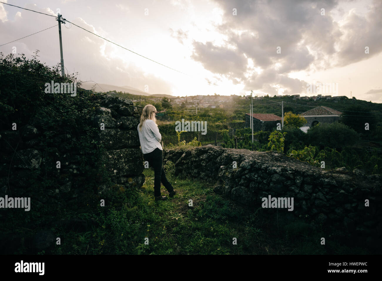 Vineyard landscape hi-res stock photography and images - Alamy