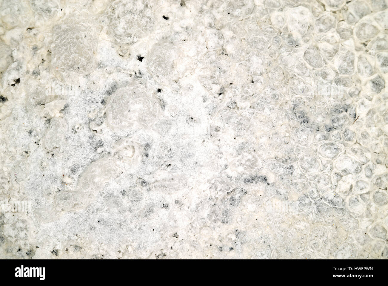 Dirty white background with bubbles close up Stock Photo - Alamy